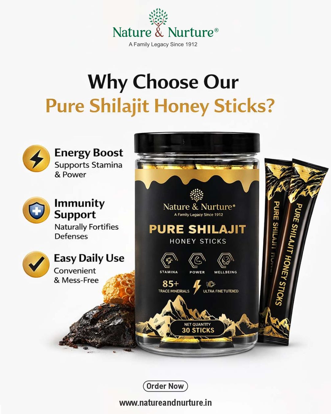 PURE SHILAJIT HONEY STICKS -30 STICKS
